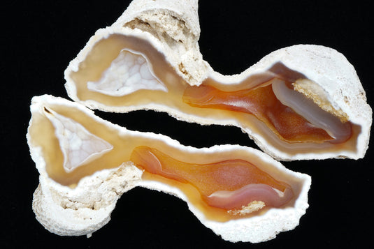 Coral Geodes Shop – CoralGeodes Store