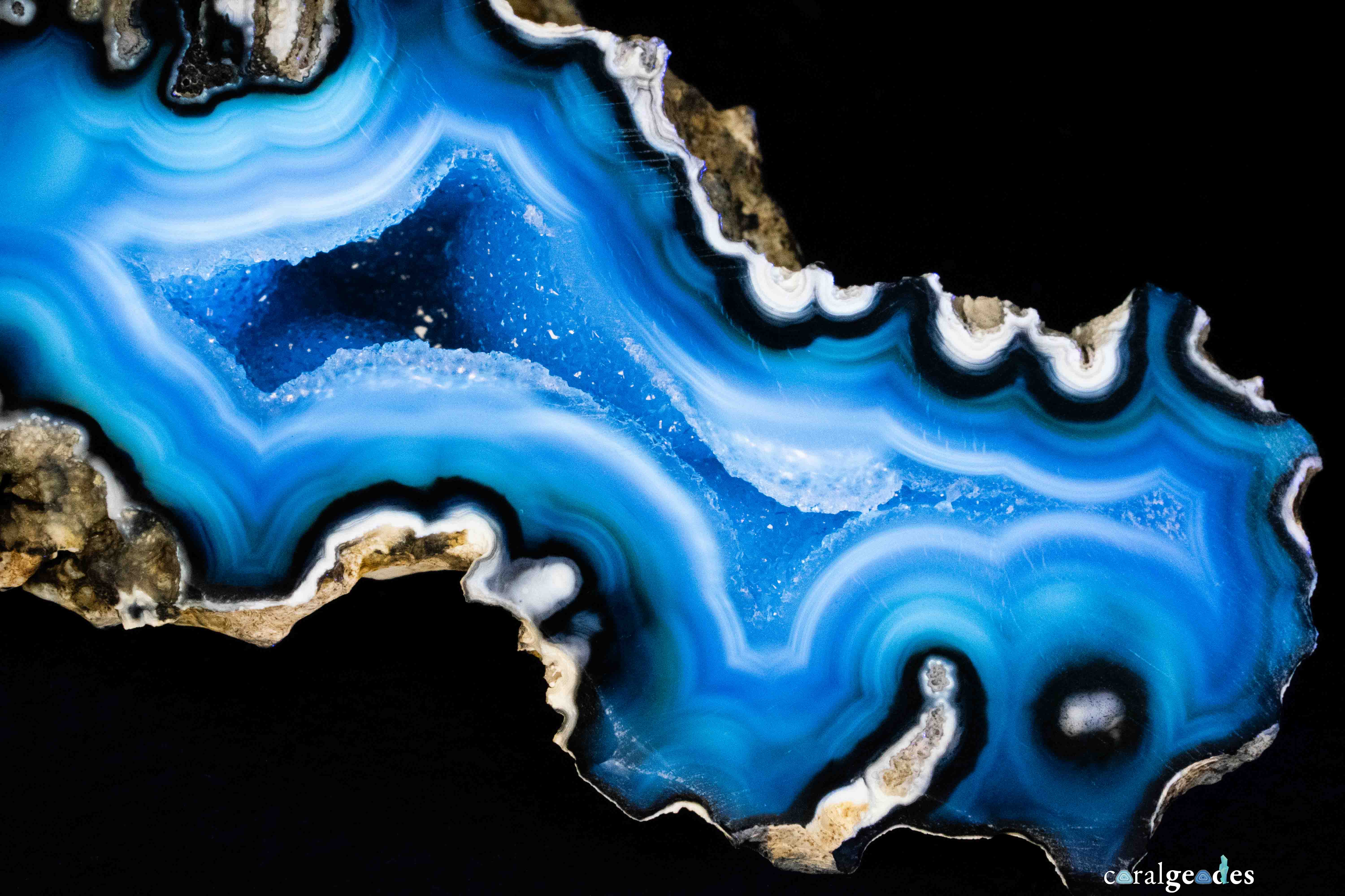 Coral Geodes Shop – CoralGeodes Store