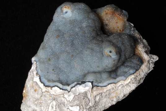 Coral Geodes Shop – CoralGeodes Store