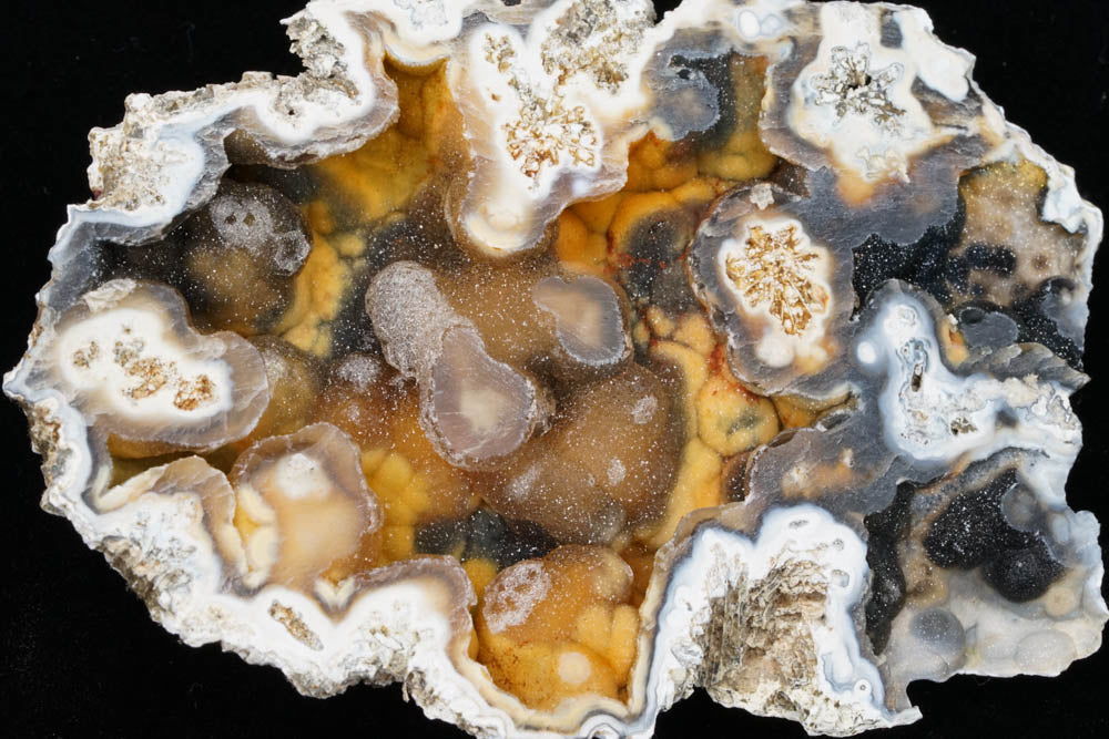 Coral Geodes Shop – CoralGeodes Store