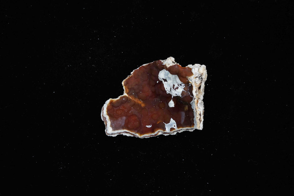 Single Pieces – CoralGeodes Store