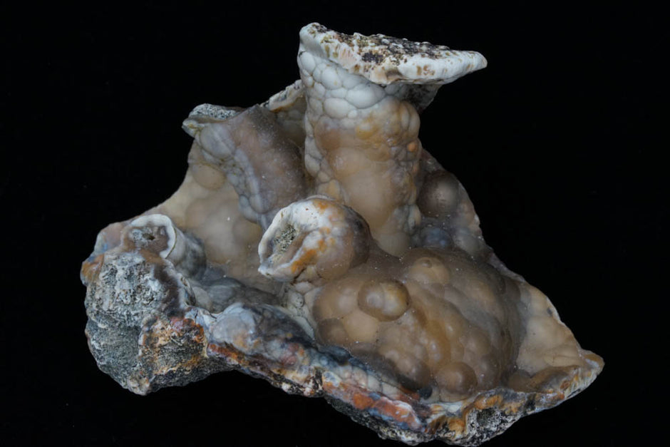 Single Pieces – CoralGeodes Store