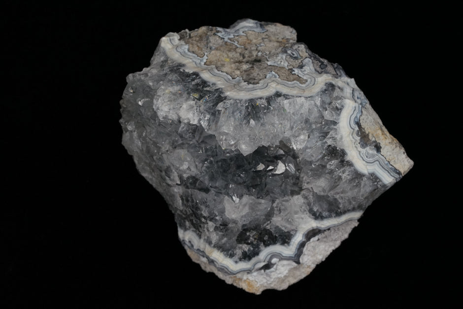 Single Pieces – CoralGeodes Store